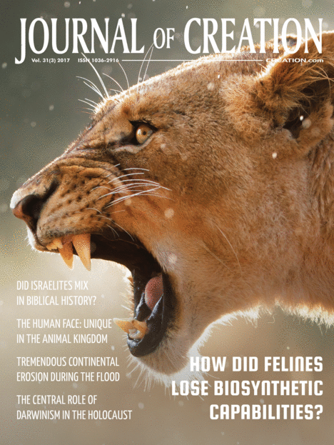 Journal of Creation - Issue Library