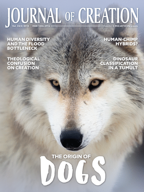 Journal of Creation - Issue Library