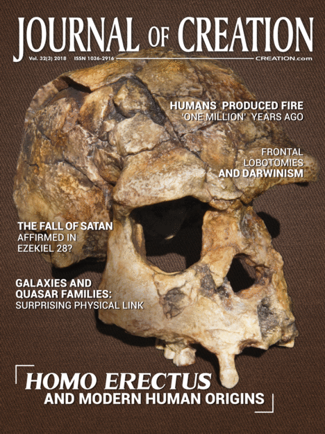 Journal of Creation - Issue Library