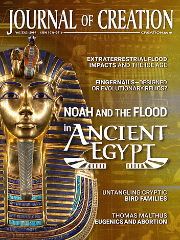 Journal of Creation - 2019 Volume 33 Issue 3