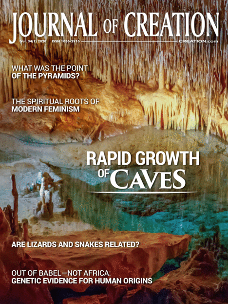 Journal of Creation - Issue Library