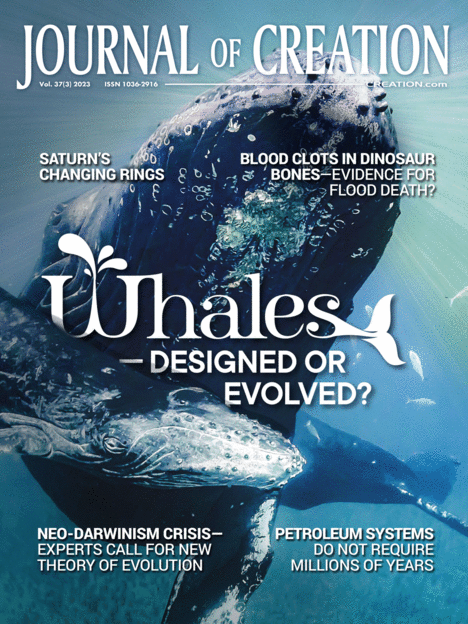 Journal of Creation - Issue Library