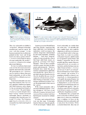 Journal of Creation - 2024 Volume 38 Issue 3