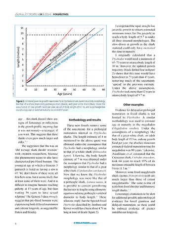Journal of Creation - 2024 Volume 38 Issue 3