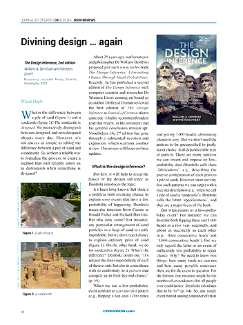 Journal of Creation - 2024 Volume 38 Issue 3