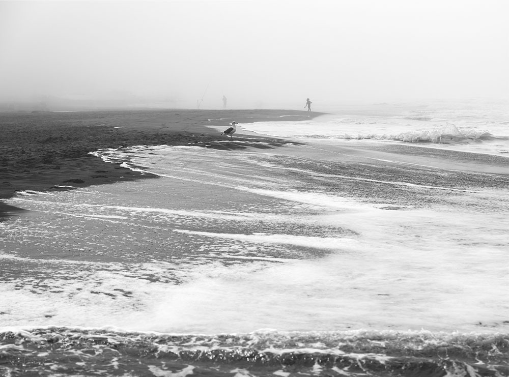 Missouri Review - Summer 2022 Sneaker Waves