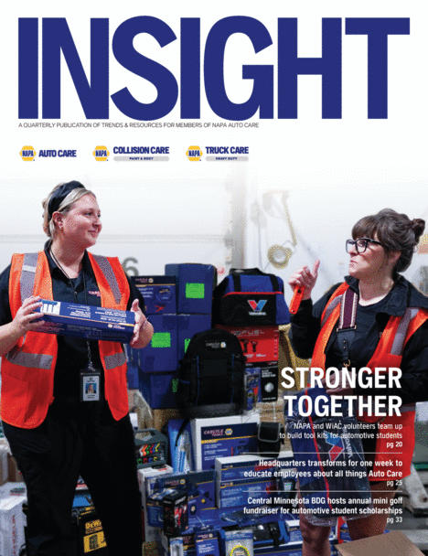 NAPA Insight - Issue Library