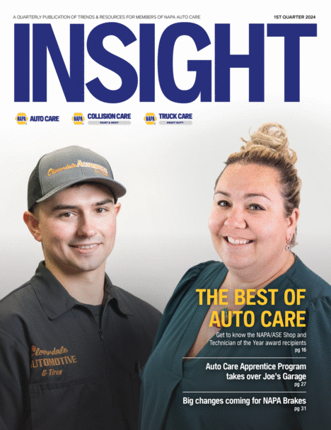 NAPA Insight - Issue Library