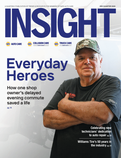 NAPA Insight - Issue Library