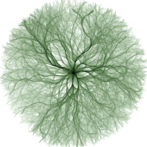 Physics Today - December 2021 Branched Flow