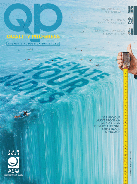 Quality Progress - Issue Library