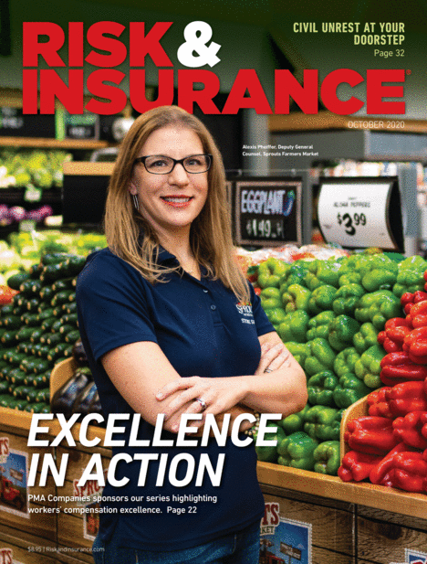Risk & Insurance - Issue Library