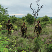 Rotary - Issue Library