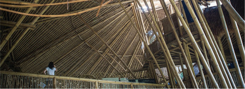 Rotary - April 2022 Bamboo: the first line of defense against deforestation