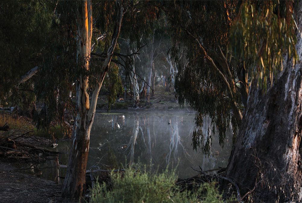 Rotary - June 2024 Life behind the lens