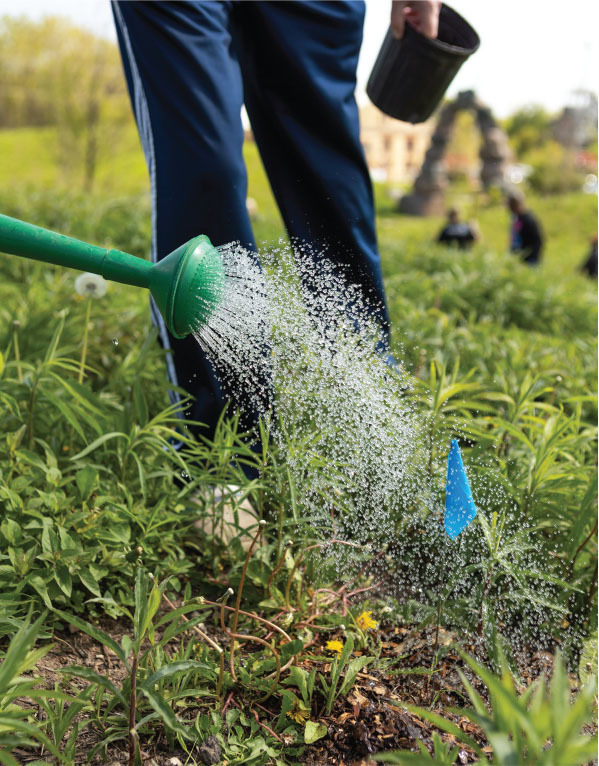 Rotary - June 2024 A watershed moment