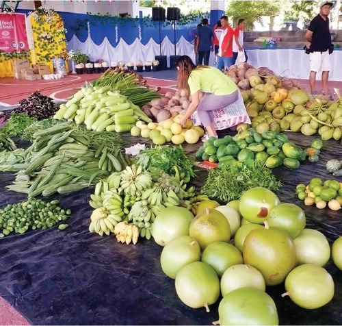 Rotary - June 2025 Projects designed to preserve planet Earth