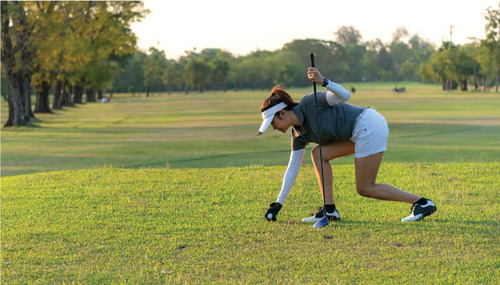 Rotary - March 2023 March events