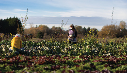 Rotary - March 2024 From farm to pantry