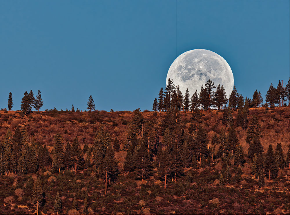 Rotary - March 2025 One small act