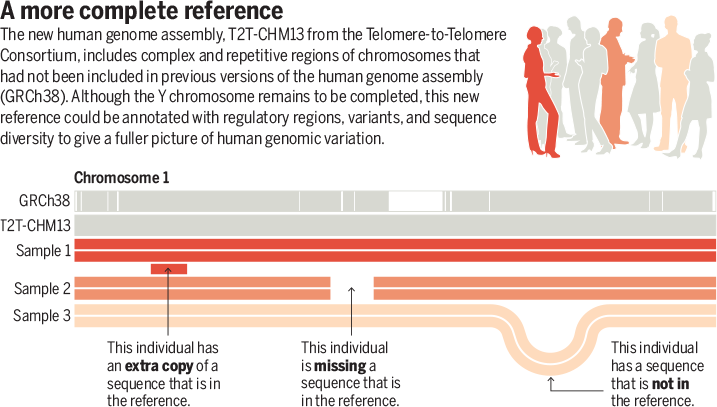 Science Magazine - April 1, 2022 A next-generation human genome sequence