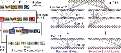 Science Magazine - April 1, 2022 Complex cognitive algorithms preserved ...