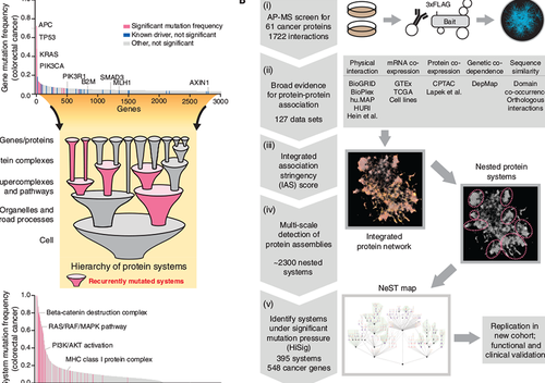 Science Magazine - October 1, 2021 Interpretation of cancer mutations ...