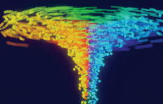 Science Magazine - September 3, 2021 A quantum vortex made of atoms