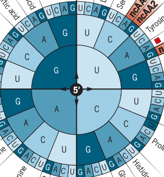 Science Magazine - June 4, 2021 Rewriting the genetic code