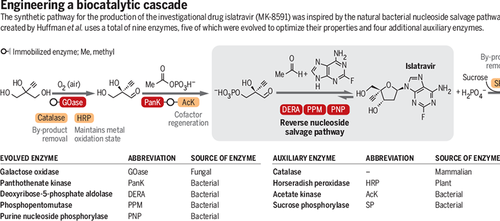 Science Magazine - December 6, 2019 Biocatalytic cascades go viral