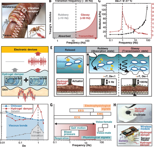 Science Magazine - May 6, 2022 Cuticular pad–inspired selective ...