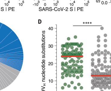 Science Magazine - August 7, 2020 Broad neutralization of SARS-related ...