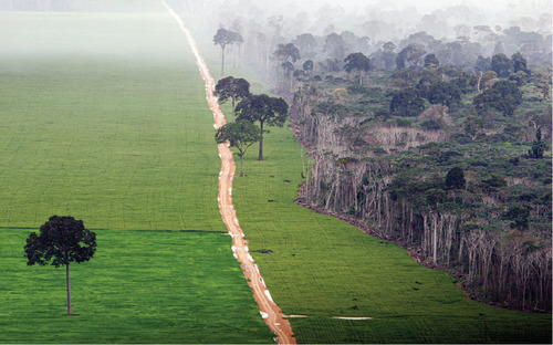 Science Magazine - January 7, 2022 Satellites document rapid expansion ...