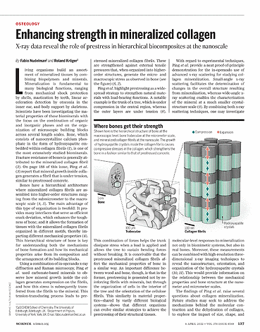 Science Magazine - April 8, 2022