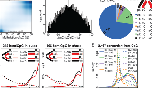 Science Magazine - March 9, 2018 Nascent DNA methylome mapping reveals ...