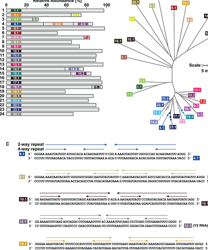 Science Magazine - April 10, 2020 Transcription polymerase–catalyzed ...