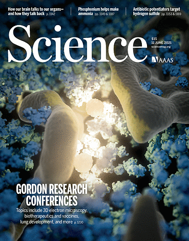Science Magazine - June 11, 2021