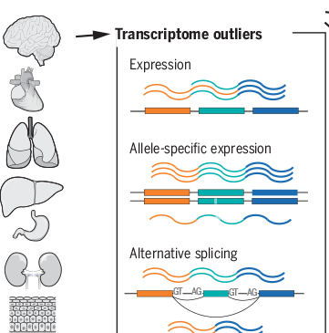 Science Magazine - September 11, 2020 Transcriptomic signatures across ...