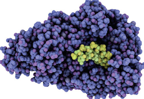 Science Magazine - October 12, 2018 DNA printers poised to jump from ...