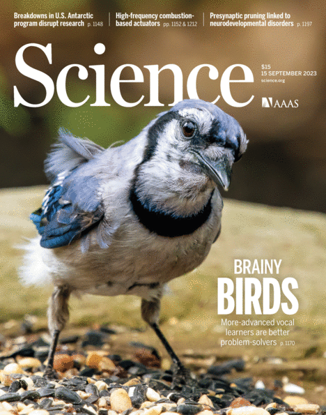 Science Magazine
