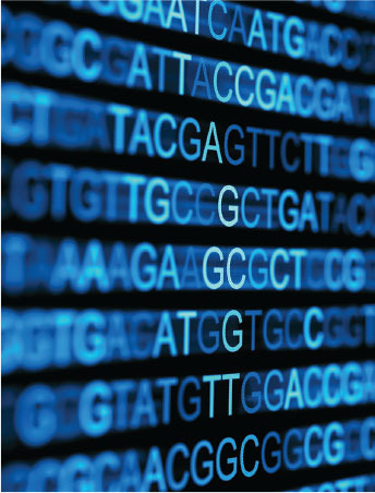 Science Magazine - June 17, 2022 Upstart DNA sequencers could be a ... Science Magazine - June 17, 2022 Upstart DNA sequencers could be a ...