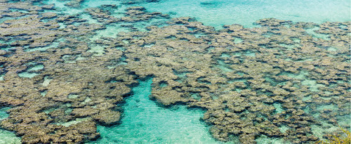 Science Magazine - September 20, 2019 A new ‘Blob’ menaces Pacific ...