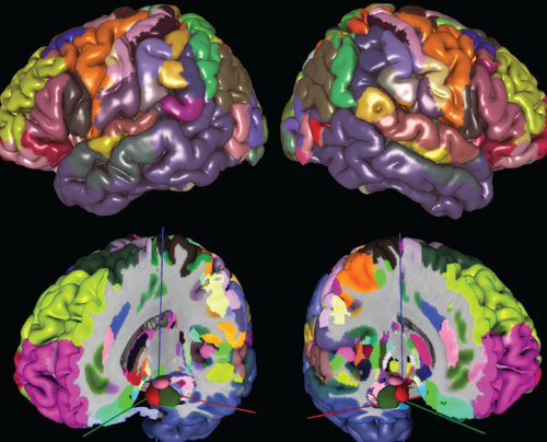 Science Magazine - August 21, 2020 Julich-Brain: A 3D probabilistic ...