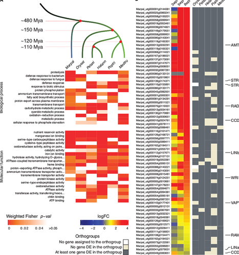 Science Magazine - May 21, 2021 Lipid exchanges drove the evolution of ...