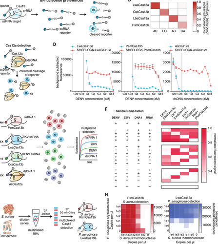 Science Magazine - April 27, 2018 Multiplexed and portable nucleic acid ...