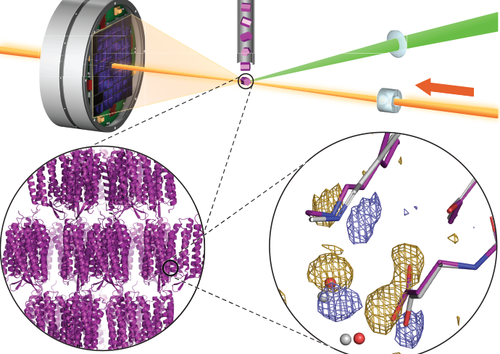 Science Magazine - August 27, 2021 Advances and challenges in time ...