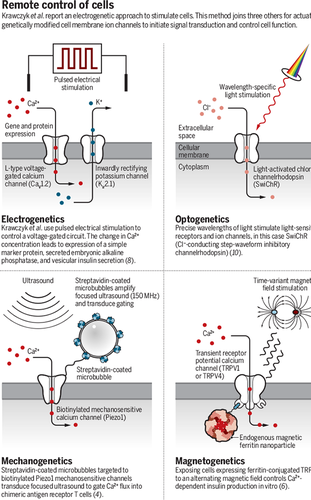 Science Magazine - May 29, 2020 Remote activation of cellular signaling