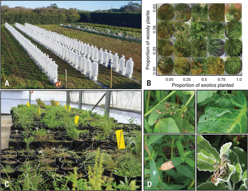 Science Magazine - May 29, 2020 Biotic interactions drive ecosystem ...