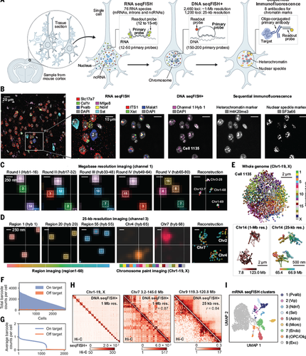 Science Magazine - October 29, 2021 Single-cell nuclear architecture ...