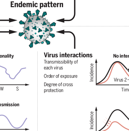 Science Magazine - October 30, 2020 Will SARS-CoV-2 become endemic?